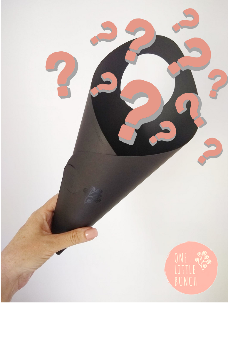 Friday 28th February – One Little Bunch